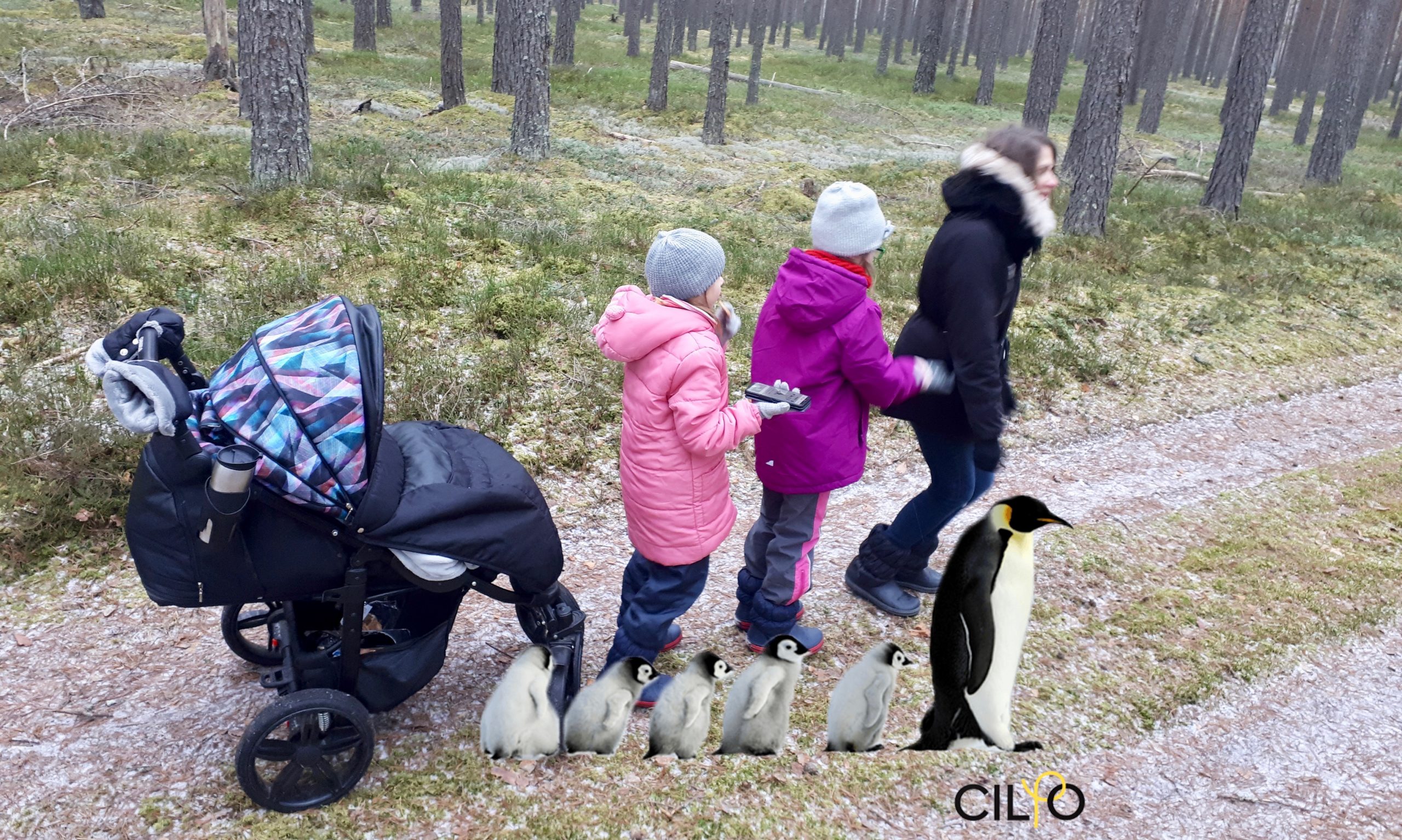 Dzimšanas dienas cilpas noslēgušās – Valmieras Viestura vidusskola